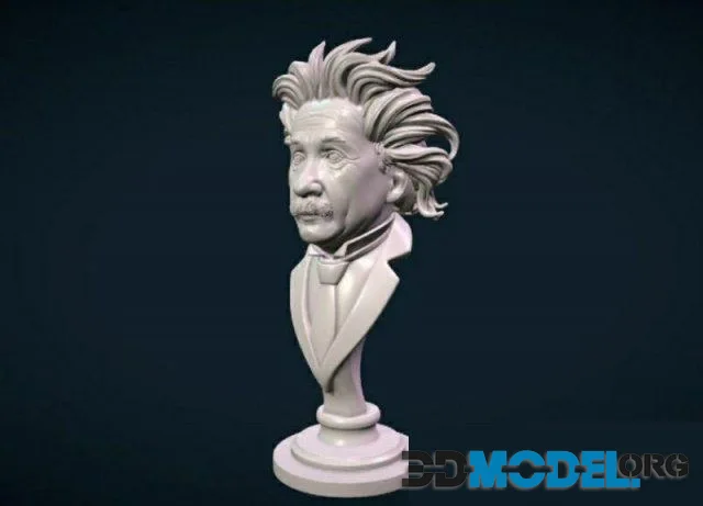 3D Model – Einstein
