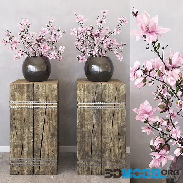3D Model – Magnolia