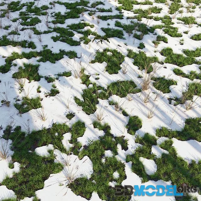 3D Model – arch_grass 04