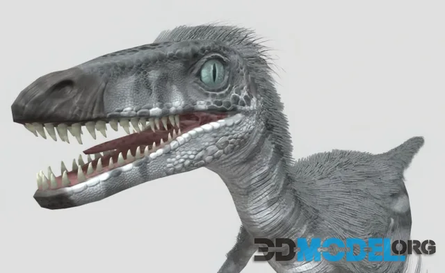 3D Model – Troodon