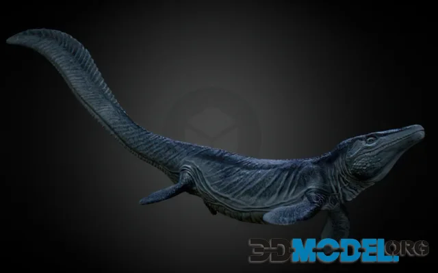 3D Model – Tylosaurus