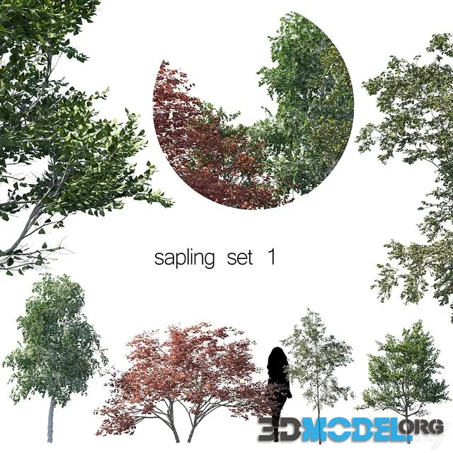 3D Model – Sapling set 1