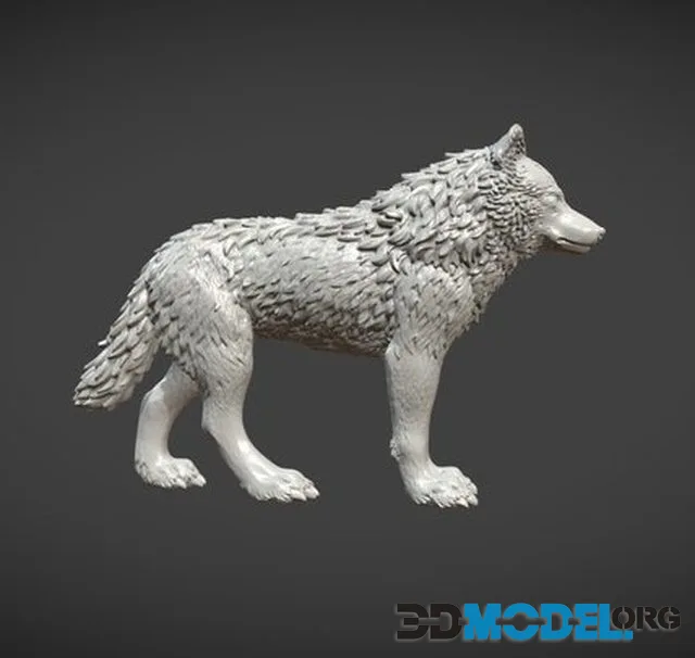 3D Model – Wolf III