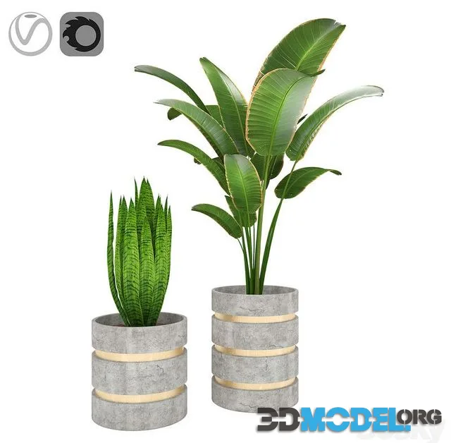 3D Model – Plants_01