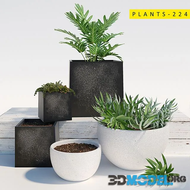 3D Model – PLANTS 224