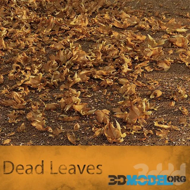 3D Model – Dead Leaves