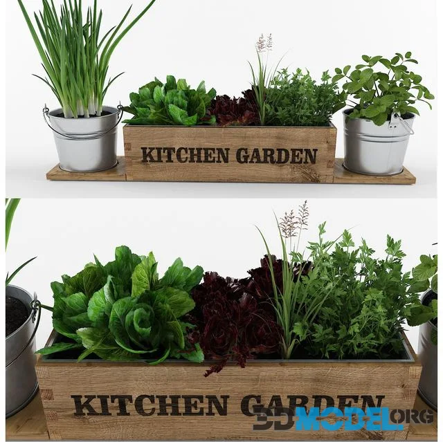 3D Model – Kitchen garden