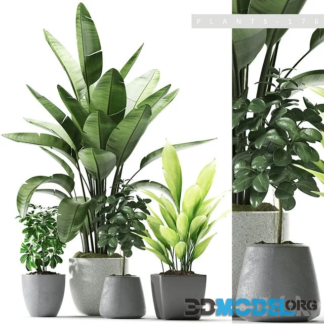 3D Model – Plants 176