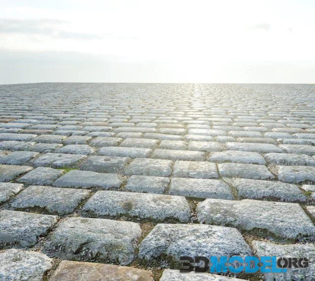 3D Model – Paving stone