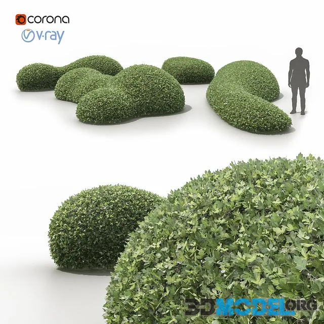 3D Model – Topiary bushes