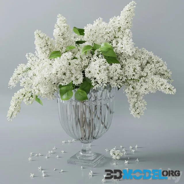 3D Model – lilac 2