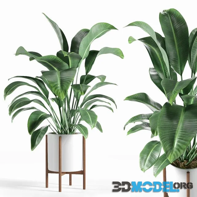 3D Model – Pot plant