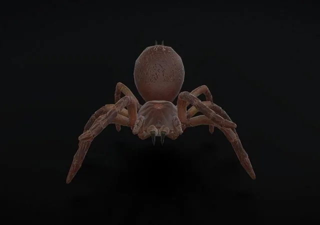 3D Model – Goliath spider with animation Low-poly (PBR)