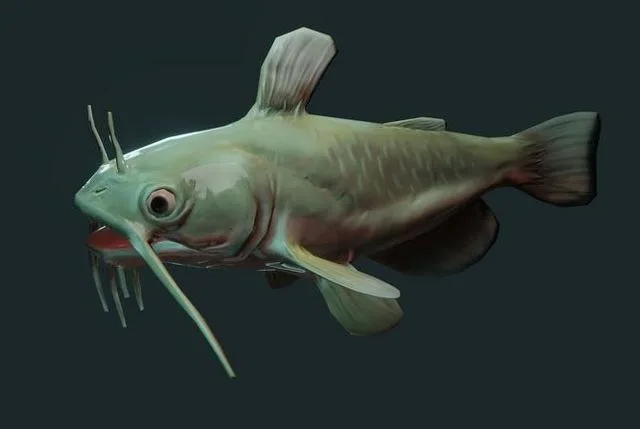 3D Model – American catfish Low-poly (PBR)