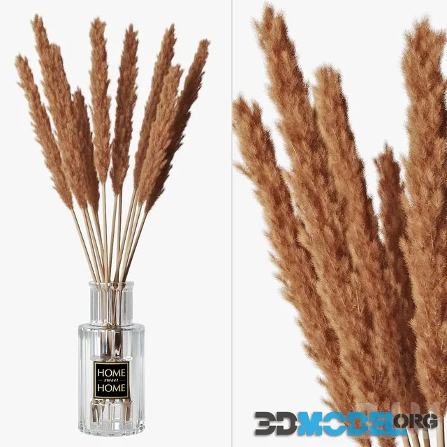 3D Model – Pampas grass 05