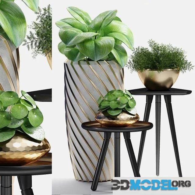 3D Model – Plants 217