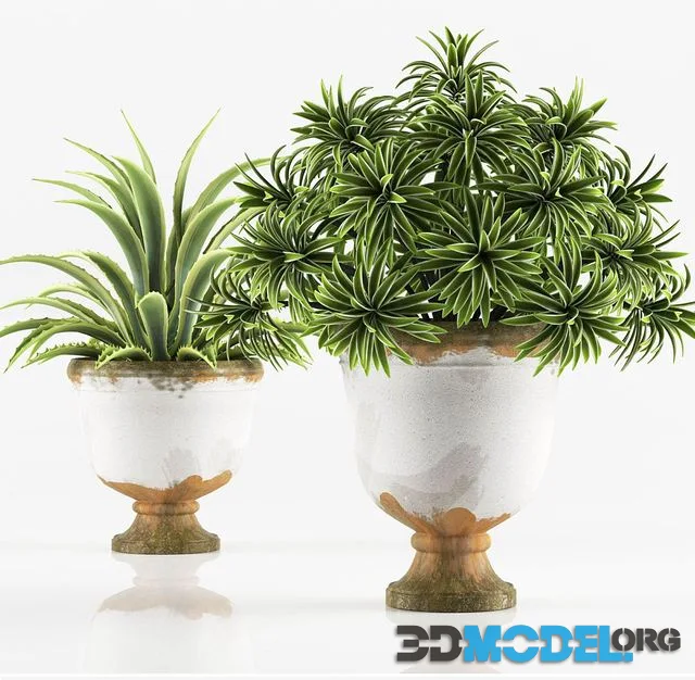 3D Model – PLANTS 6