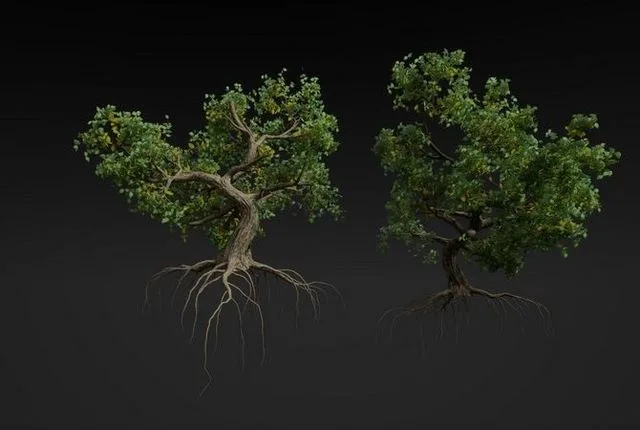 3D Model – Stylized Tree Low-poly (PBR)