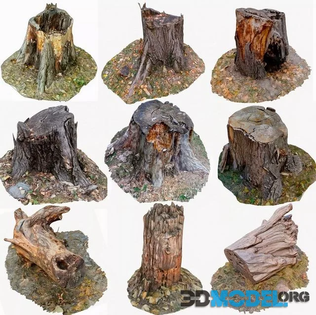 3D Model – 3D Scan Tree Stump Collection Low-poly (PBR)