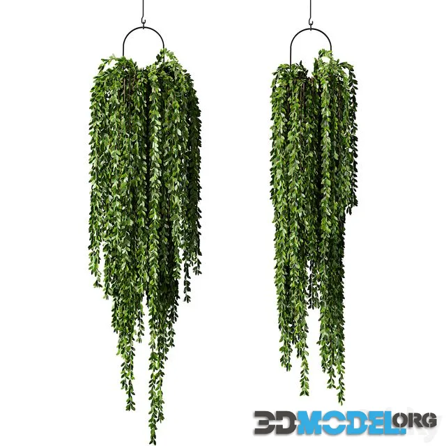 3D Model – Hanging Plant Indoor Set.241