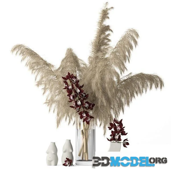 3D Model – Pampas grass and Cymbidium