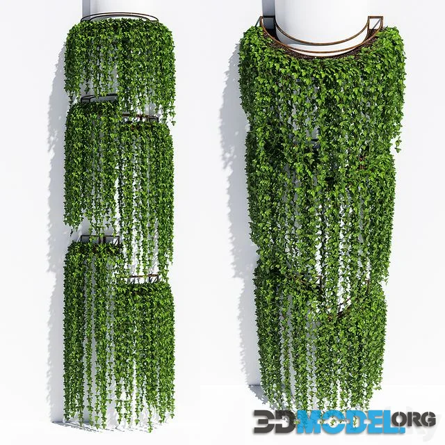 3D Model – Round box ivy