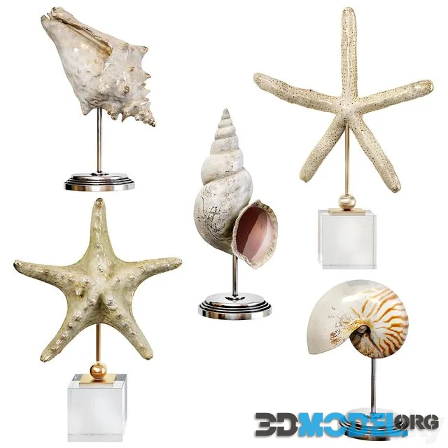 3D Model – Sea shell decorative set 03
