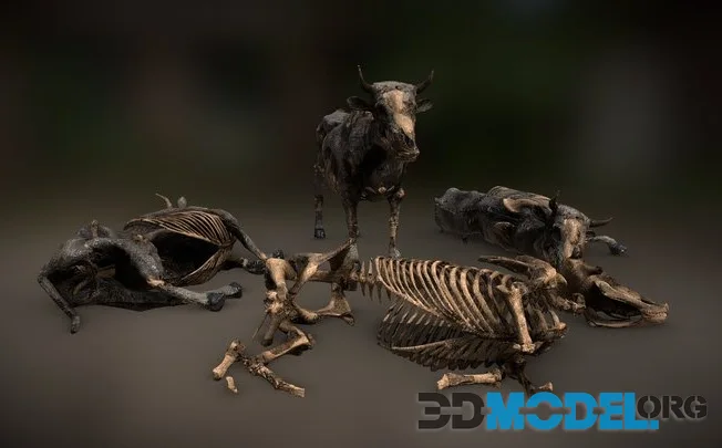 3D Model – Dead Cows (PBR)
