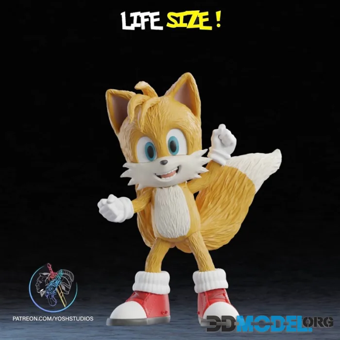 3D Model – Life Size Tails – Printable