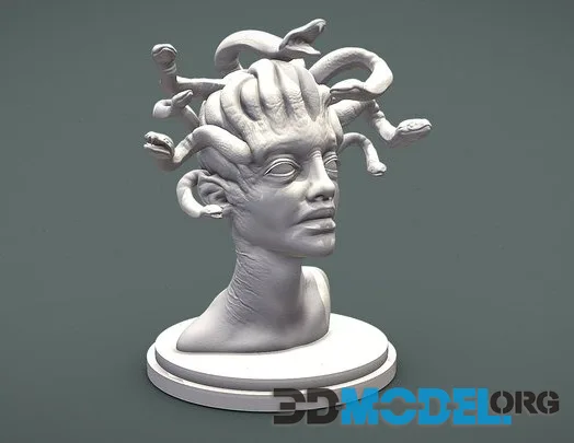 3D Model – Medusa 3D Printing (PBR)
