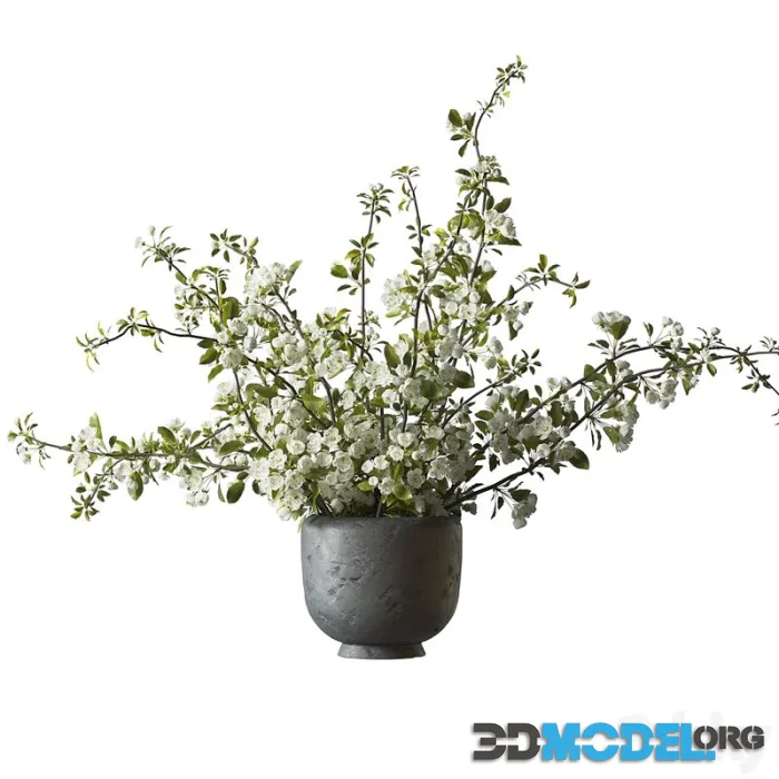 3D Model – Bouquet of flowering branches in a clay vase