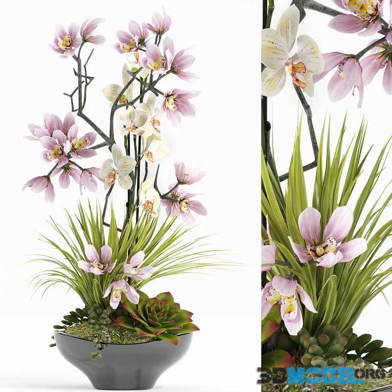 3D Model – FLOWER SET 21