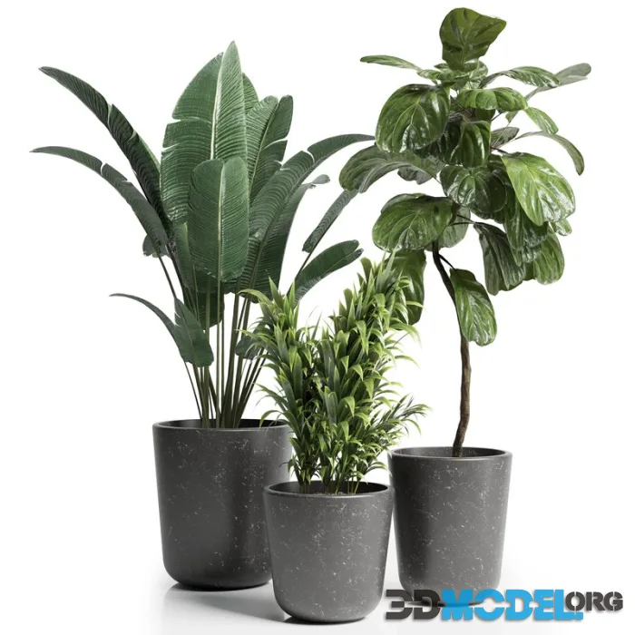 3D Model – Indoor plant 21