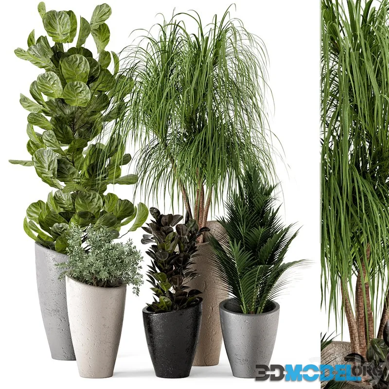 3D Model – Indoor Plants in rusty Concrete Pot - Set 240