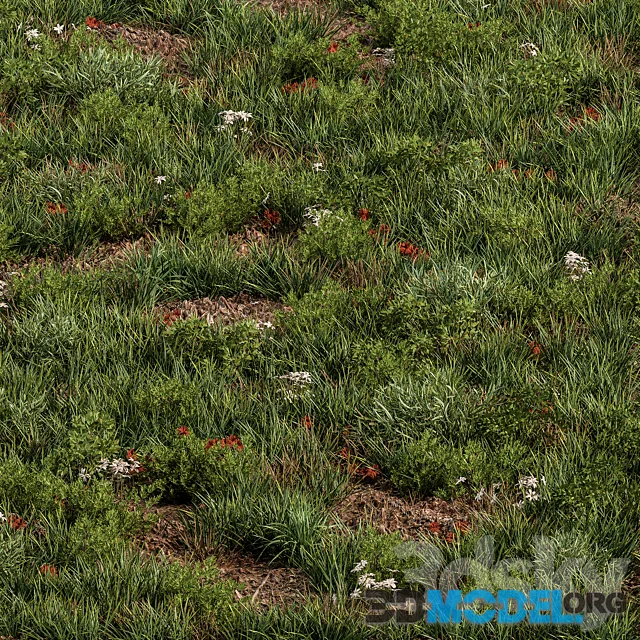 3D Model – Spring Grass Grass Set 07