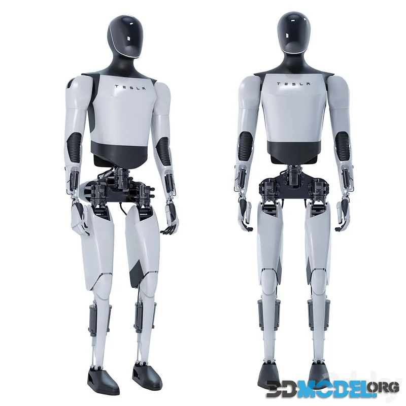 3D Model – Tesla Optimus Gen 2